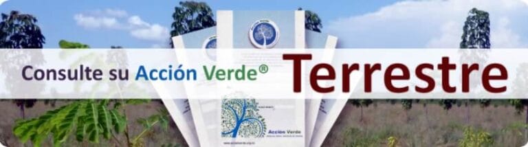 Consulte aquí su acción verde - Sembrar Árboles en Colombia